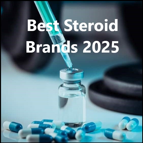 Steroids: What Are They Really Lets Chat